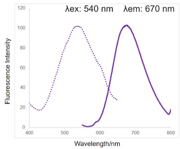 BioTracker™ Far Red Mitochondrial Superoxide Live Cell Probe | SCT278 ...